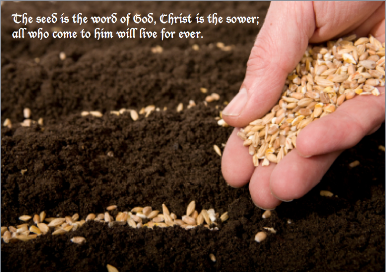 Daily Reflection / English