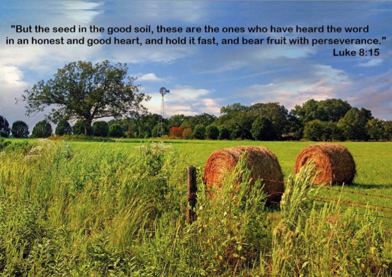 by prayers room published january 6 2026 updated december 25 2025